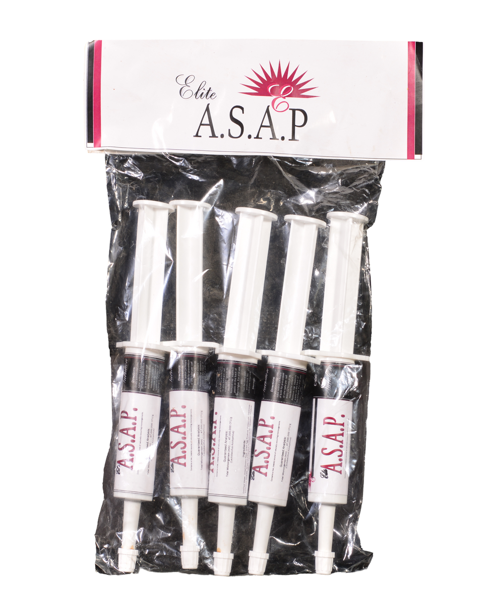 A.S.A.P. Equine-Immune Boost with Antibodies for New Foals and support ...